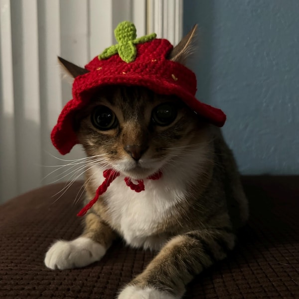 Adjustable Cute Crochet Soft Ribbon Kitten Collar Pet Costume Cat ...