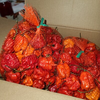 Trinidad Moruga Scorpion Pepper Dried Pods 15 Pods - Etsy