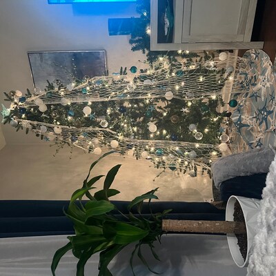 Real Jungle Mud Starfish Orange Brown Amber Color 1 to 3 Pcs 2 to 4 1/2 ...