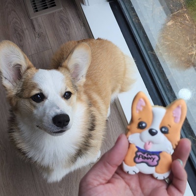 Corgi 2 or Front Facing Dog Cookie Cutter or Fondant Cutter and Clay ...