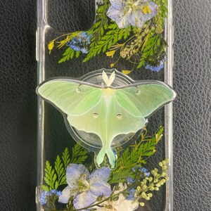 Luna Moth Phone Grip-rare Butterfly Phone Stand-monarch-swallowtail ...