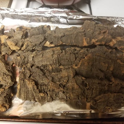 Vented Enclosure 16 Quart Reptile Isopod Terrarium Vivarium Container ...