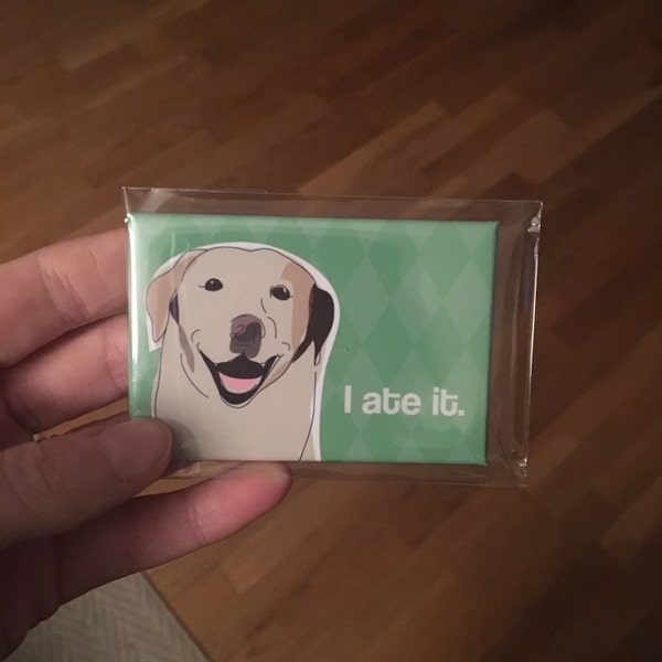 Yellow Lab Magnet – Funny Dog Fridge Magnets – Labrador Retriever ...