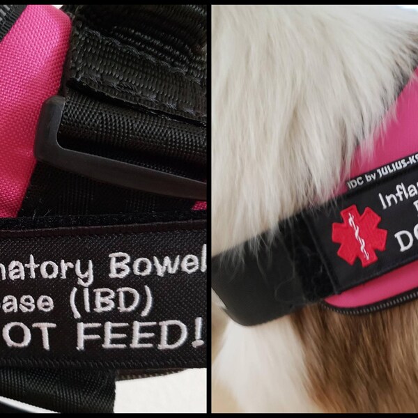 3-inch Round Patch stay Pawsitive Positivity Patch for Dogs Embroidered ...