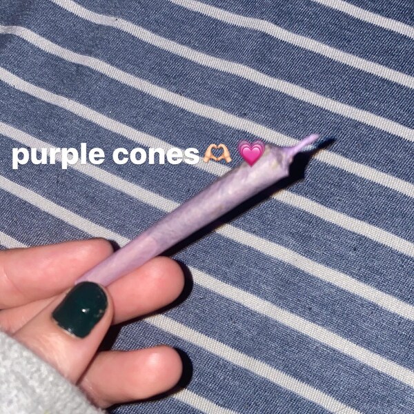 Purple Paper Cones – 100 Count | Rolling Paper | Pre Rolled Cones - Etsy
