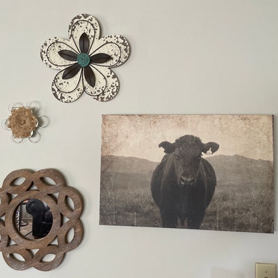 Angus Cattle Wall Art Black Angus Cow Pictures Portrait Art Ranch Wall ...