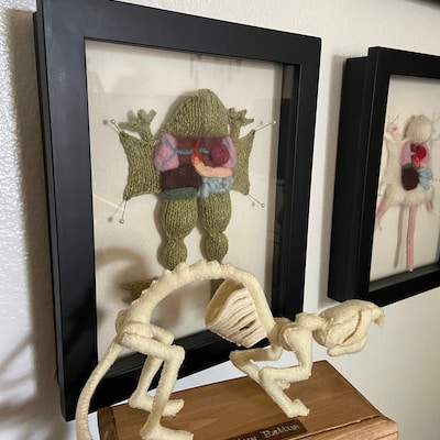 Genetically Engine-eared Vacanti Mouse, Vegan Faux Taxidermy ...