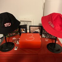 Delta Sigma Theta duck-walk Patch - Etsy Canada