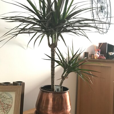 Copper Planters, Indoor Planters, Copper Color Gardening Decor, Copper ...