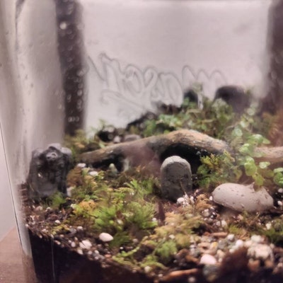 Tiny Mini Cemetery Headstone Tombstone Concrete Potted Plant Terrarium ...