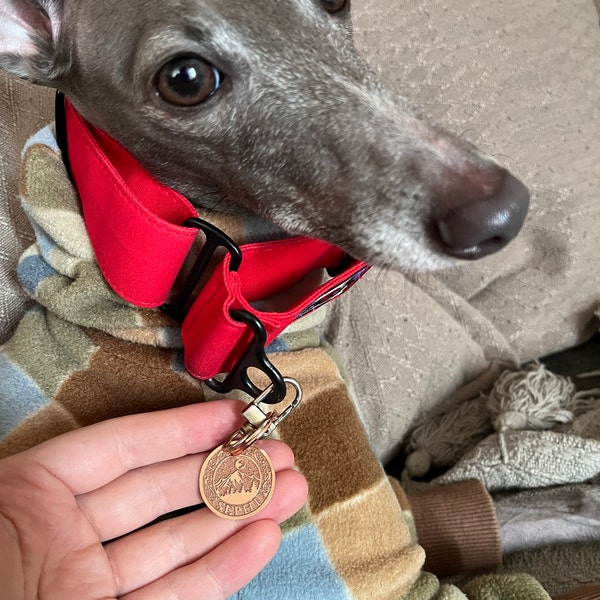 Custom Engraved Viking-style Stainless Steel Pet ID Tag - Etsy