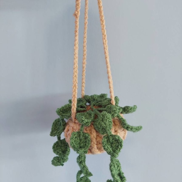 Tiny Pothos Crochet Pattern Bundle Pothos Jade, Monstera and String of ...