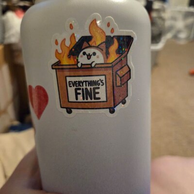 Embrace the Chaos: Everything's Fine Dumpster Fire Sticker Funny Meme ...