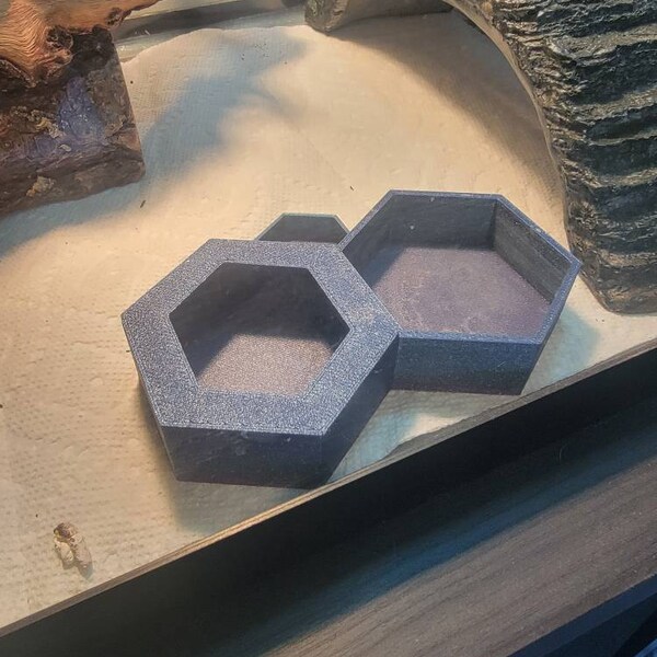 Triple Dish | Leopard Gecko Dish | Reptile Dish | Gecko Dish | Gecko ...