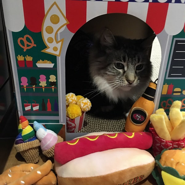 Catcorn, Pom Pom Cat Toy Popcorn (10 Toy Set) - Etsy