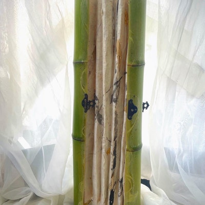 1 Fresh Cut Bamboo Choose From 1 to 8 Feet Long - Etsy