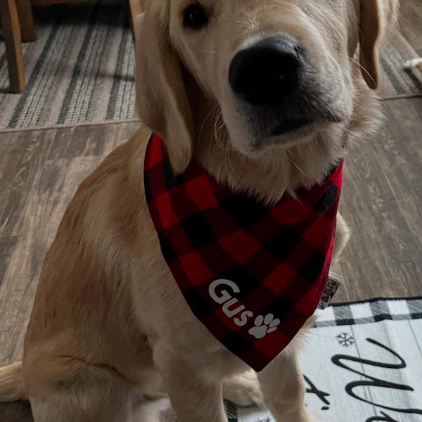 Cincinnati Reds Bandana / Cincinnati Reds / Dog Cat Bandana / Pet ...