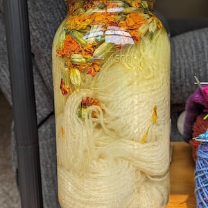 Indigofera Suffruticosa Seed Blue Guatamalan Indigo Anil - Etsy