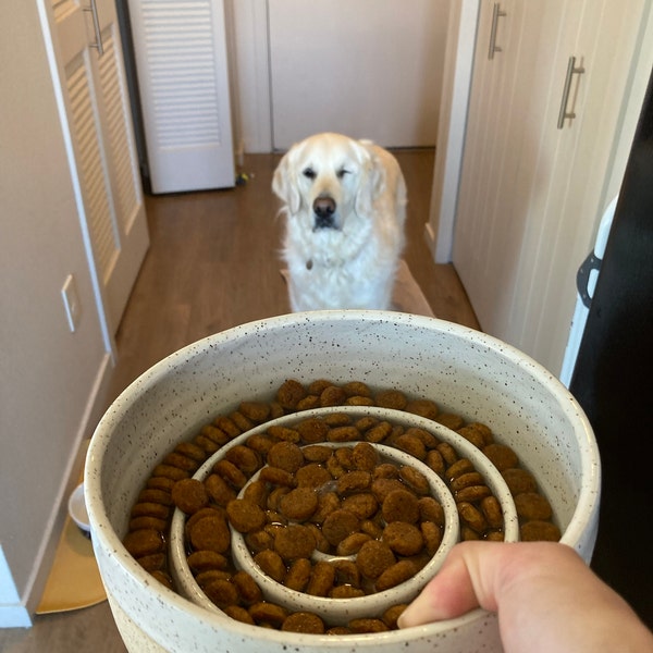 Slow Feeder 1/3 Dip Handmade Ceramic Dog Bowl | Puzzle Toy | Pet Feeder ...