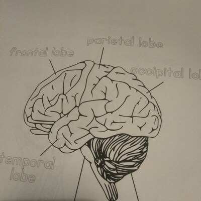 Treasure Island Cursive Copywork Cursive Handwriting Practice ...