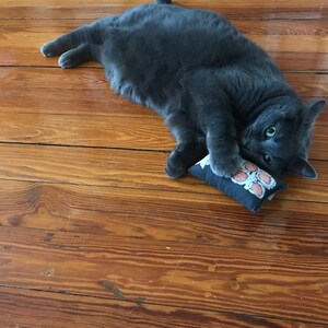 Spicy Tuna Roll Sushi Cat Toy, Catnip Toy, Organic Catnip Toy, Japanese ...