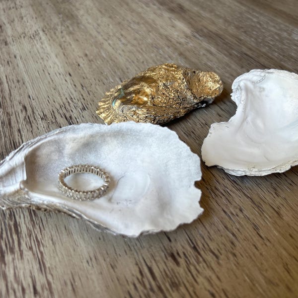 Seashell - Channel Whelk - Hand Painted - Sunshine - Pawleys Island ...