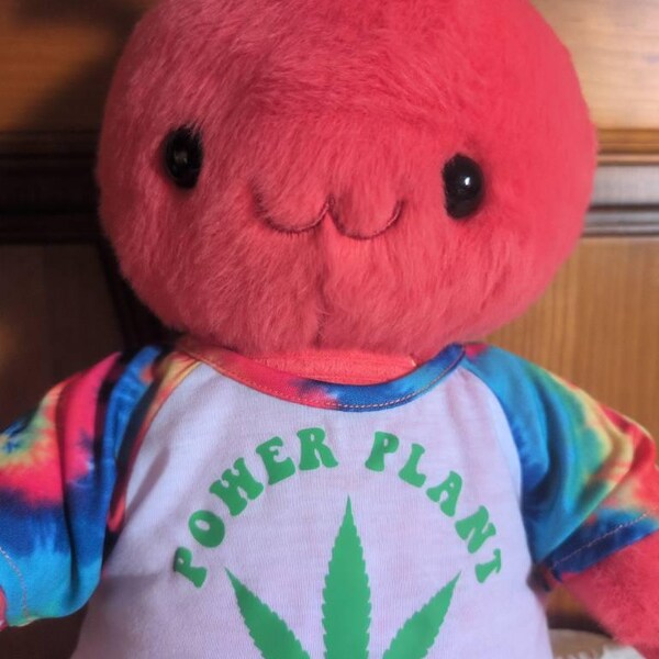 Custom” Emotional Support Emo Bear” Bear Shirt Customizable! - Etsy