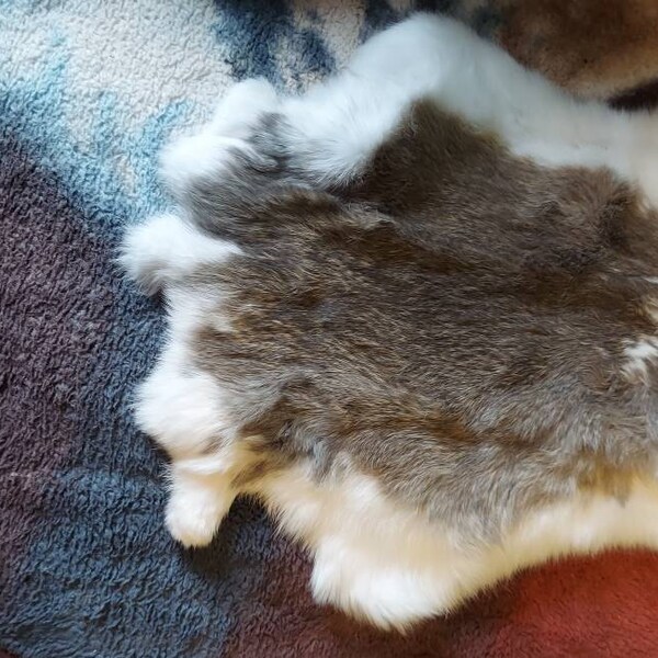 Lot of 4 Assorted Rabbit Hides- as Shown- Natural Rabbit Fur- No ...