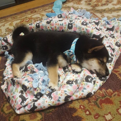 Tricolor Shiba Fabric Shiba Inu Dog Flowers Florals by Petfriendly ...