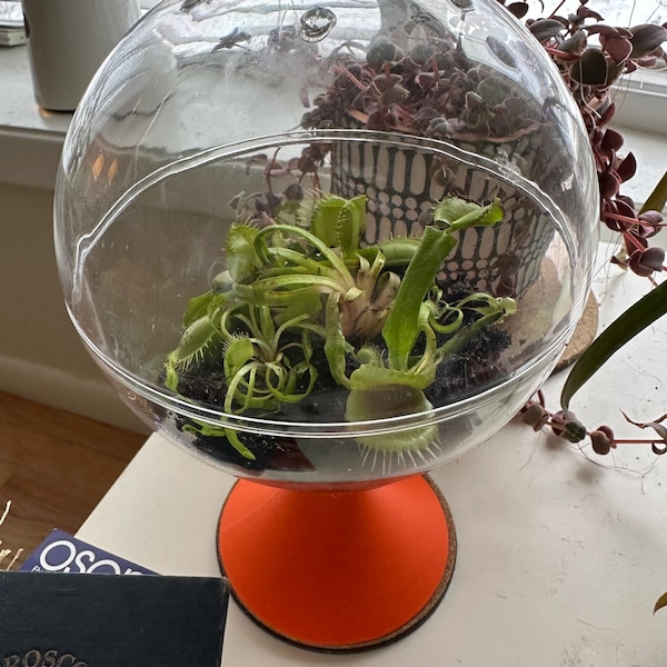 Mini Terrarium Planter - Retro - MCM - Mid-century Modern - 60s - 70s ...