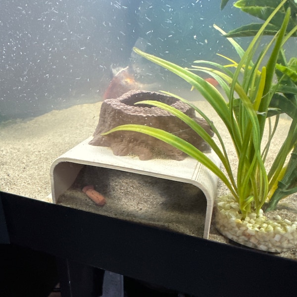 Premium Shrimp and Fish Cave, Aquarium Decor, Shelter for Shrimp and ...