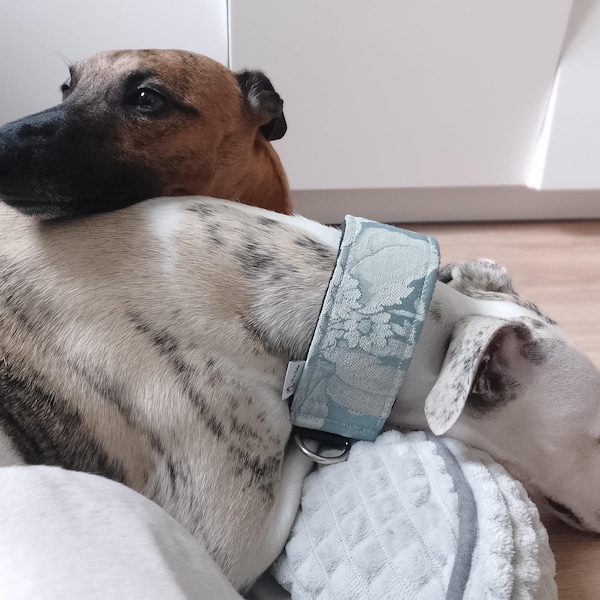 Comfortable, Soft&cosy, Elegant Whippet Martingale Collar. Width - 5 ...