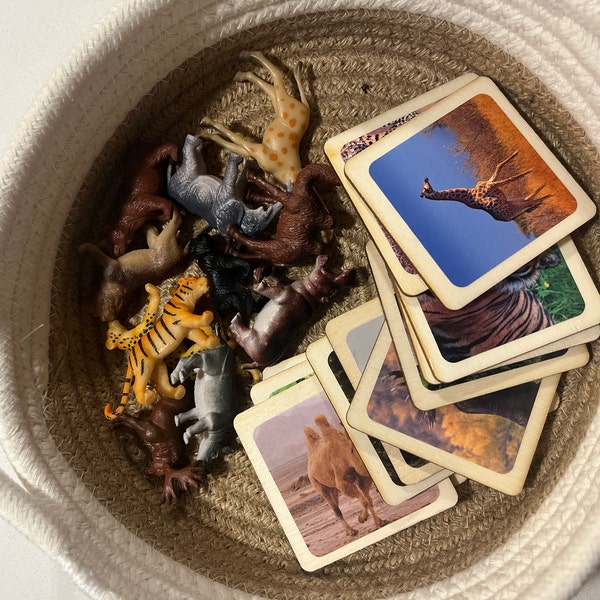 Montessori and Waldorf Learning Sea Life Animals Sustainable Match Toys ...