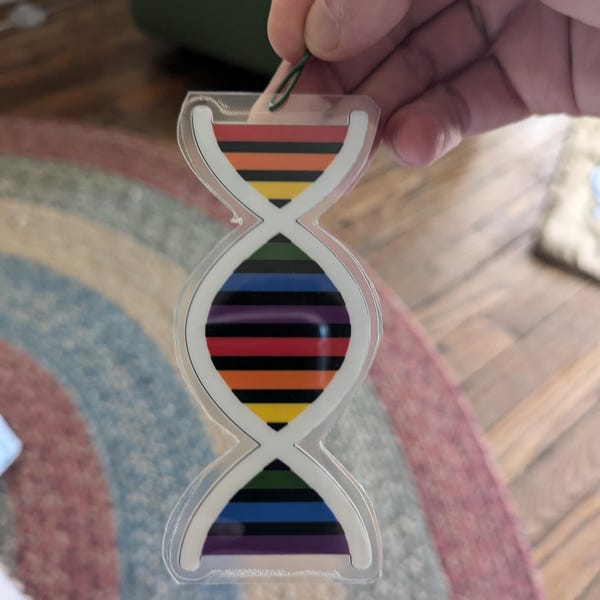 Rainbow DNA - Gay Rights LGBTQ Key Chain. Keychain Size - 1-3/8” Wide X ...