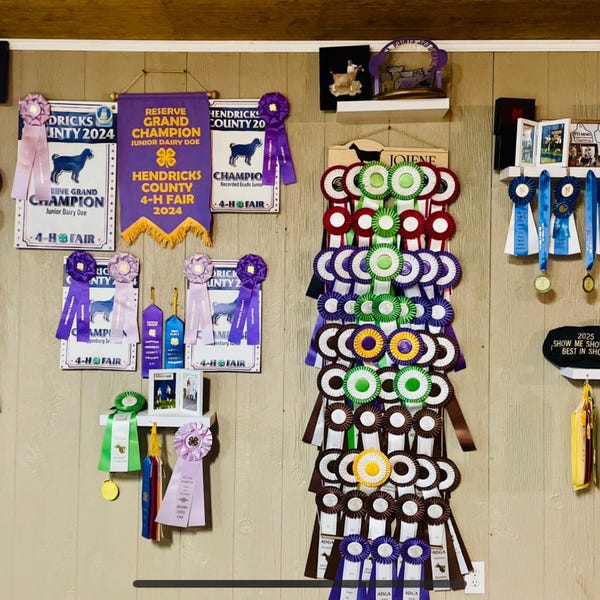 Personalized 4H Show Ribbon Holder: Livestock Award Display - Etsy