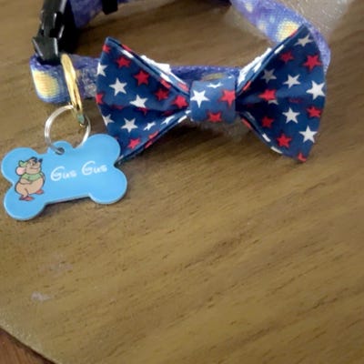 Bone Shaped Dog Pet Id Tag Silencer, Glows in the Dark - Etsy