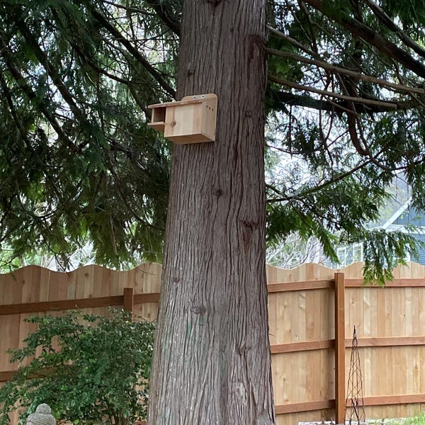 Squirrel House/nesting Box - Etsy