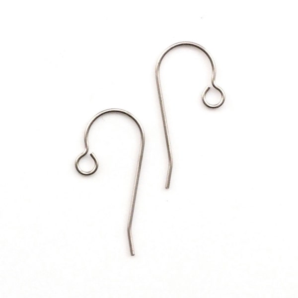 Titanium Ear Wires - 10 Pairs With Outside Loop - Made in the USA - Etsy