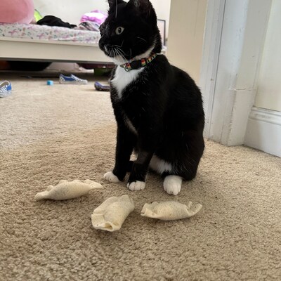 Catnip Cat Mat, Cat Mat for Pet Carrier, Cat Mat, Organic Catnip Play ...