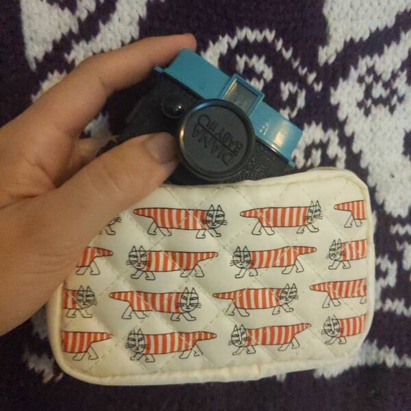 Lisa Larson Necono (cat) Carry Case Pouch - Etsy