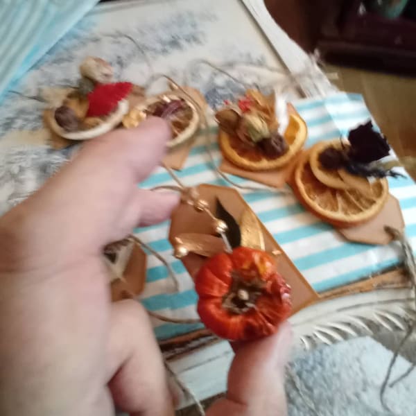 Set of Six Dried Flower, Festive Gift Tags, Dried Flowers, Christmas ...