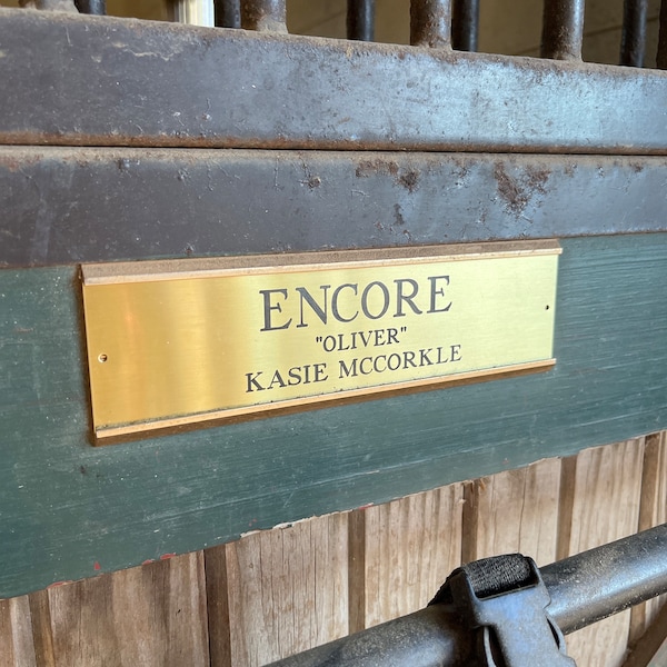 2X8 Brass Horse Stall Plate - Etsy