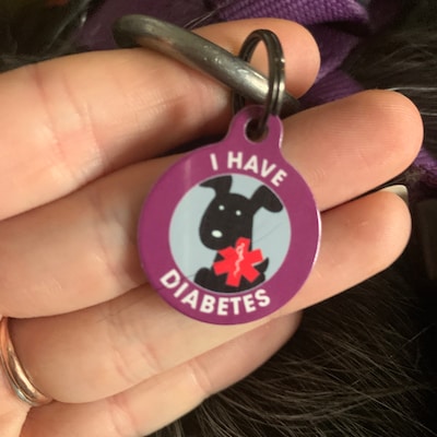 Medical ID Tag I Have Diabetes Dog Medical Alert - Etsy