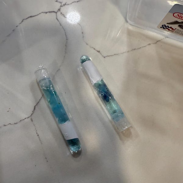 Japanese Rice Fish Eggs - Medaka Miyuki Blue - Etsy