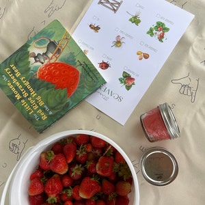 WATERMELON Unit Study, Life Cycle, Anatomy, Nature Study, Science ...