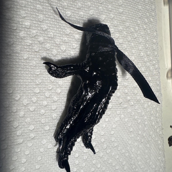 7 African Powers Hoodoo Rice, Orisha Blessings, Orunmilla, Chango ...