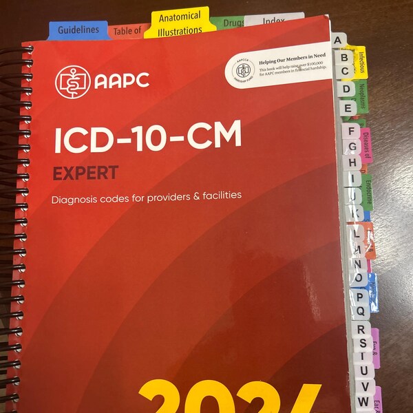 2025 ICD-10-CM Tabbing System - Etsy