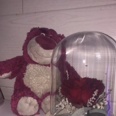 Glass Bell JOUR DE FETE Original Hand Made Flower Gift, Preserved ...