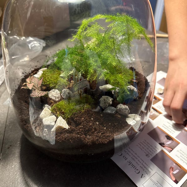 Large Glass Terrarium Jar With LED Cork Lid - H25cm X D23cm - Etsy UK