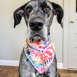 Concha Dog Squeaky Toy Concha Toy Mexican Sweet Bread Toy | Etsy